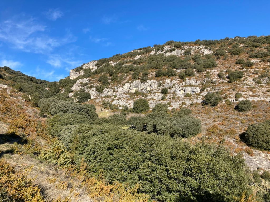RECORRIDOS - Foncea Trail