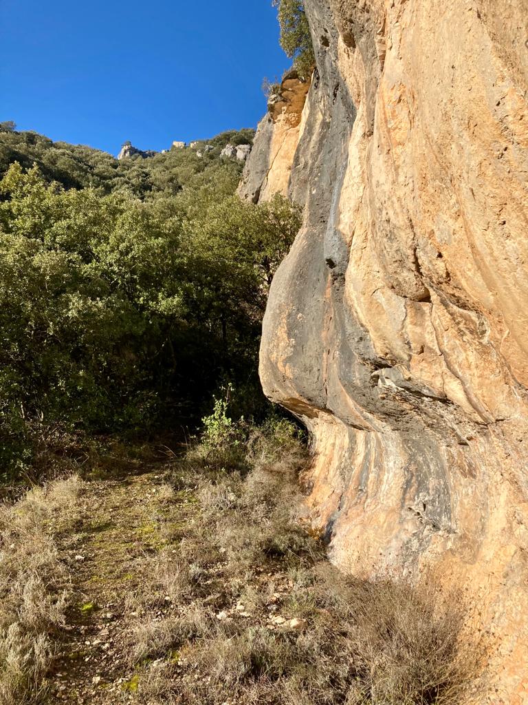 RECORRIDOS - Foncea Trail