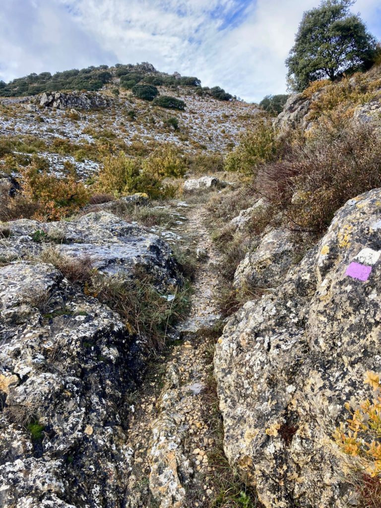 RECORRIDOS - Foncea Trail