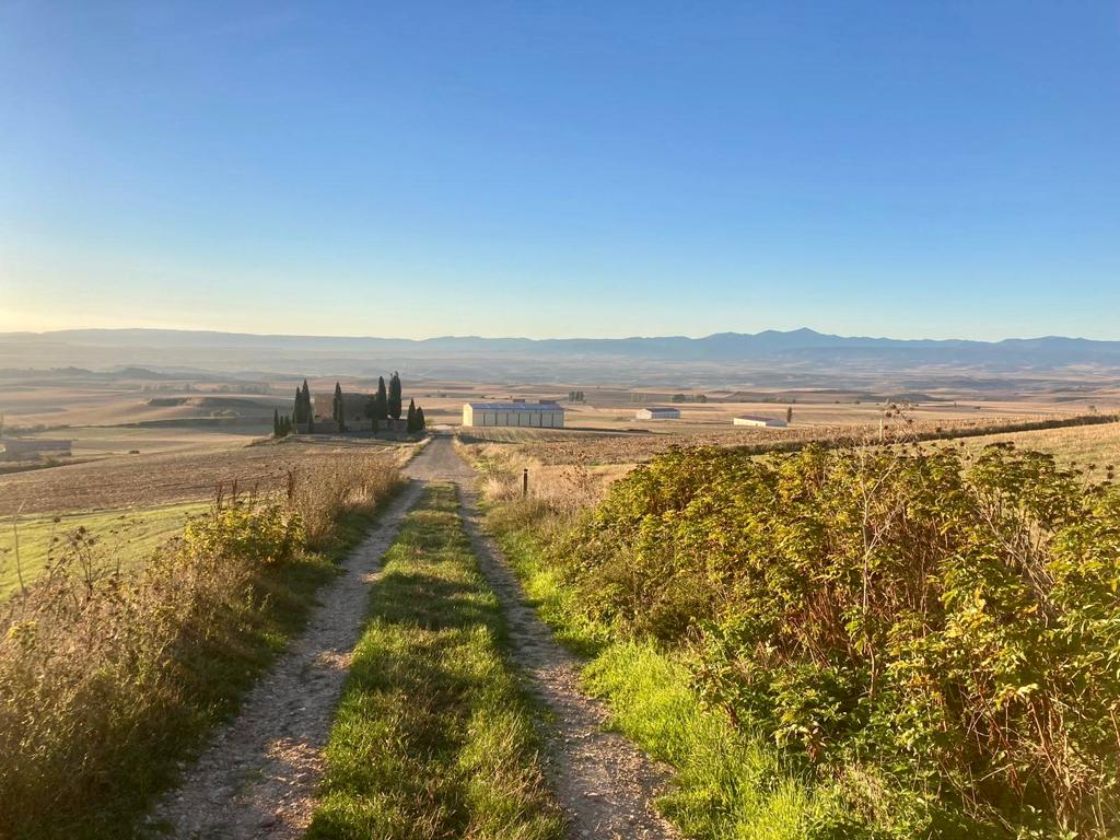 RECORRIDOS - Foncea Trail