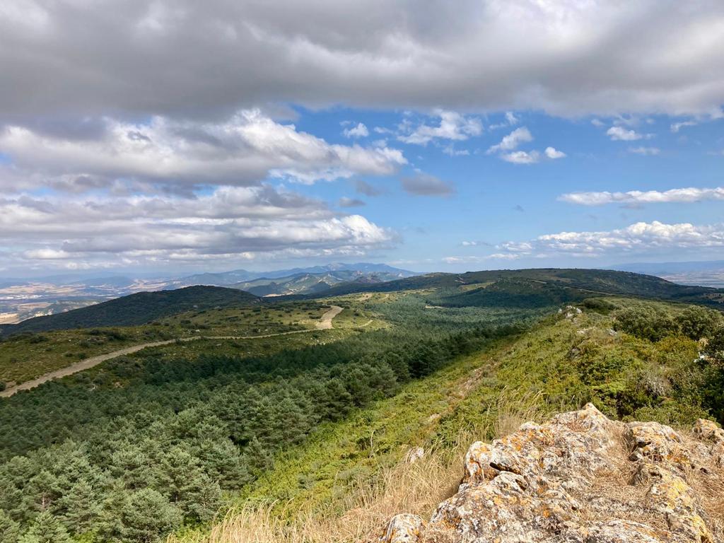 RECORRIDOS - Foncea Trail